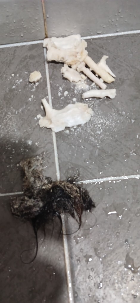 변기 커버 설치변기막힘 해결욕실 바닥 육가 배관 막힘해결여러집 서울특별시 강북구 수유동 비즈프로필