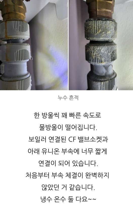 연남동 보일러누수 누수탐지 방법ok집수리 누수탐지 서울특별시 종로구 청운효자동 비즈프로필
