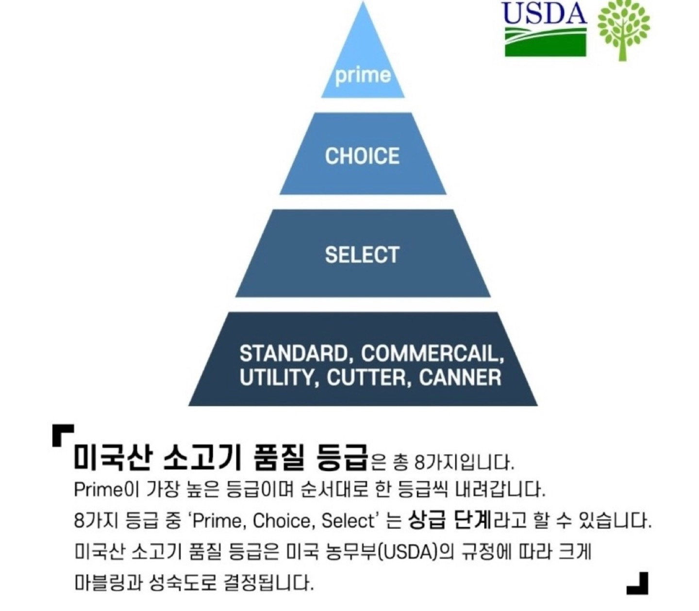 왕언니푸드 미국산 프라임등급 소고기 특가 1kg 24500원 경기도 양주시 삼숭동 비즈프로필