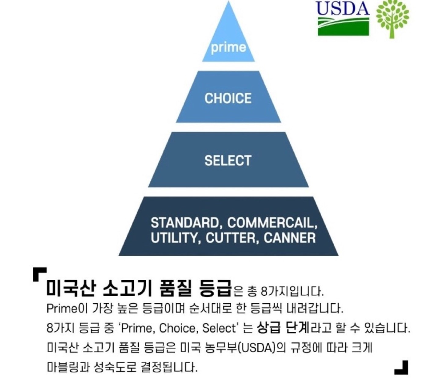 왕언니푸드 미국산 프라임등급 소고기 특가 1kg 24500원 경기도 양주시 삼숭동 비즈프로필