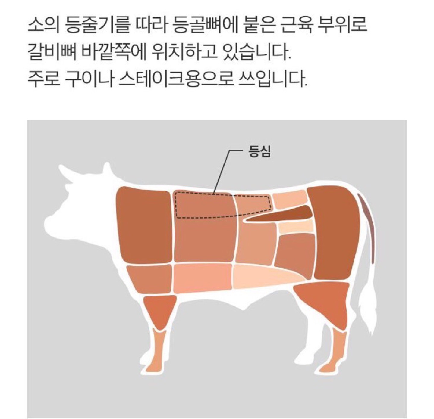 왕언니푸드 미국산 프라임등급 소고기 특가 1kg 24500원 경기도 양주시 삼숭동 비즈프로필
