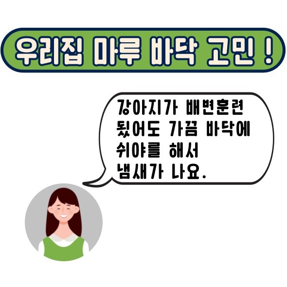 강아지가 바닥에 오줌을 싸요 마루바닥 강아지 오줌냄새 어떻게 관리하나요 서울특별시 양천구 목5동 비즈프로필