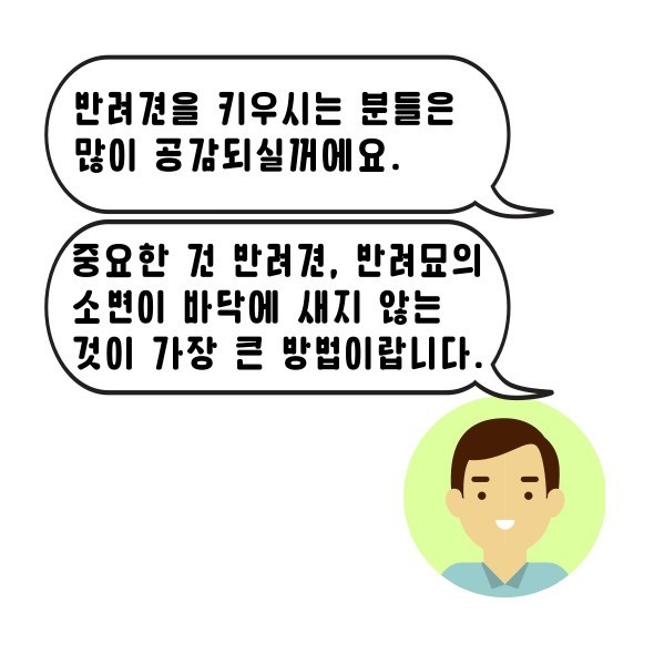 강아지가 바닥에 오줌을 싸요 마루바닥 강아지 오줌냄새 어떻게 관리하나요 서울특별시 양천구 목5동 비즈프로필