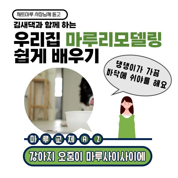 강아지가 바닥에 오줌을 싸요 마루바닥 강아지 오줌냄새 어떻게 관리하나요 서울특별시 양천구 목5동 비즈프로필