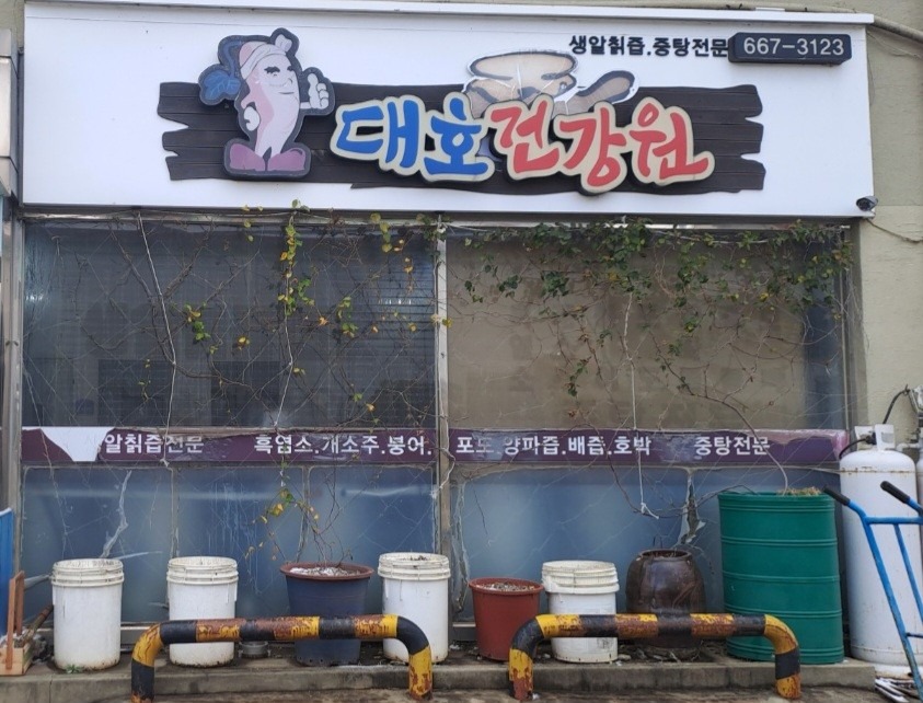 직접 캔 칡!! 생칡즙 50포 판매합니다 | 충청남도 서산시 부석면 | 건강식품판매 | 당근 비즈 소식