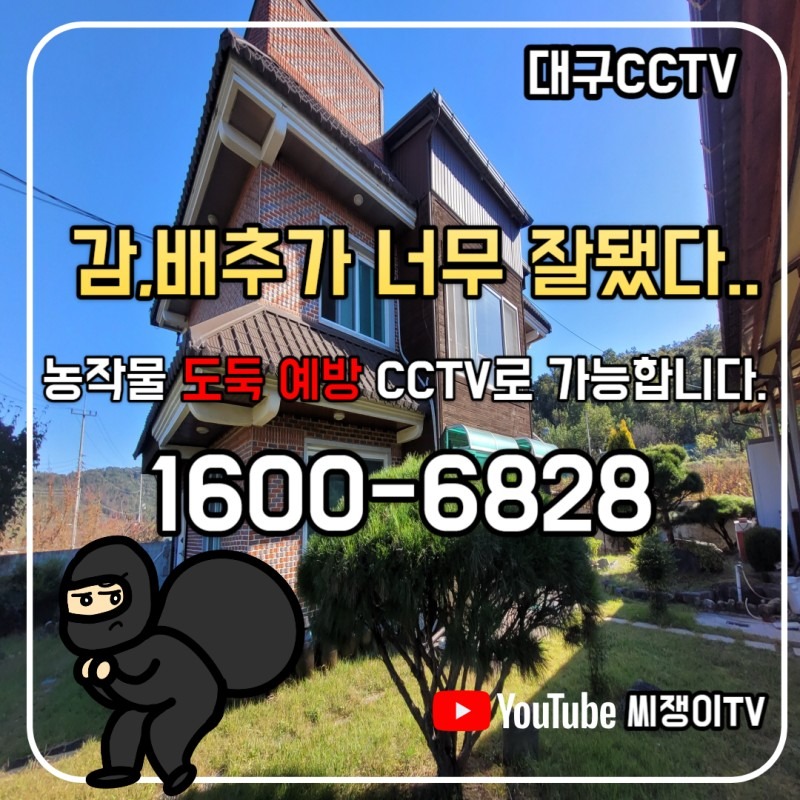 농작물 도둑을 잡아라! 대구CCTV 설치 후기 | 대구광역시 북구 검단동 | CCTV판매/설치 | 당근 비즈 소식