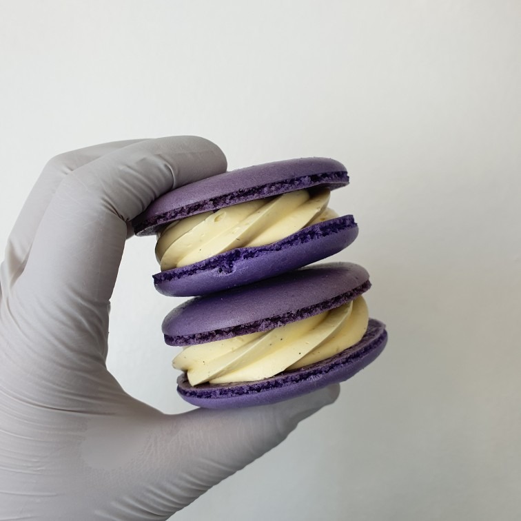 코코롱 7월 29일 (토) - 강원특별자치도 춘천시 퇴계동 | 비즈프로필