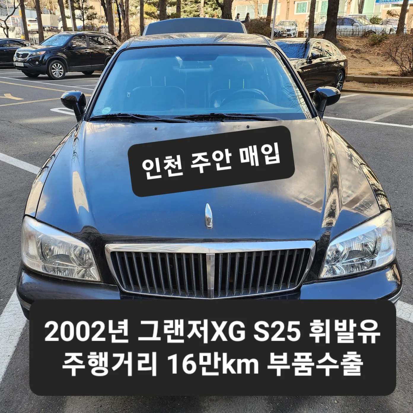 2002년 그랜저XG S25 휘발유 주행거리 16만km 부품수출 - 경기도 김포시 걸포동 | 비즈프로필
