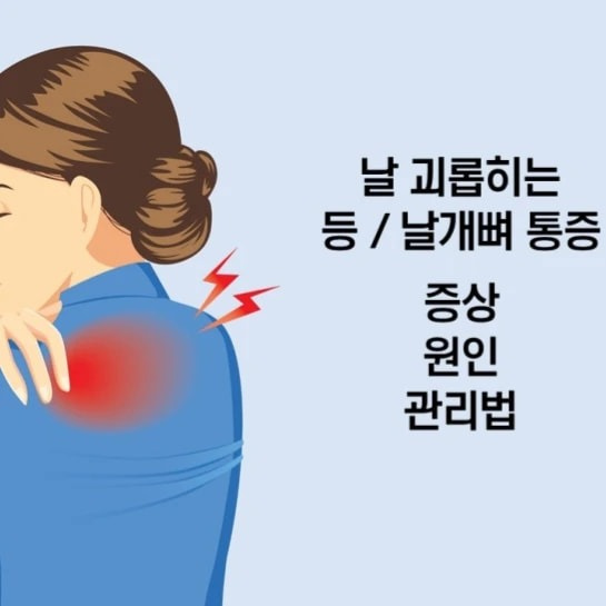 등통증 날개뼈통증의 원인부터 해결법 무료평가신청까지 충청남도 천안시 서북구 백석동 비즈프로필