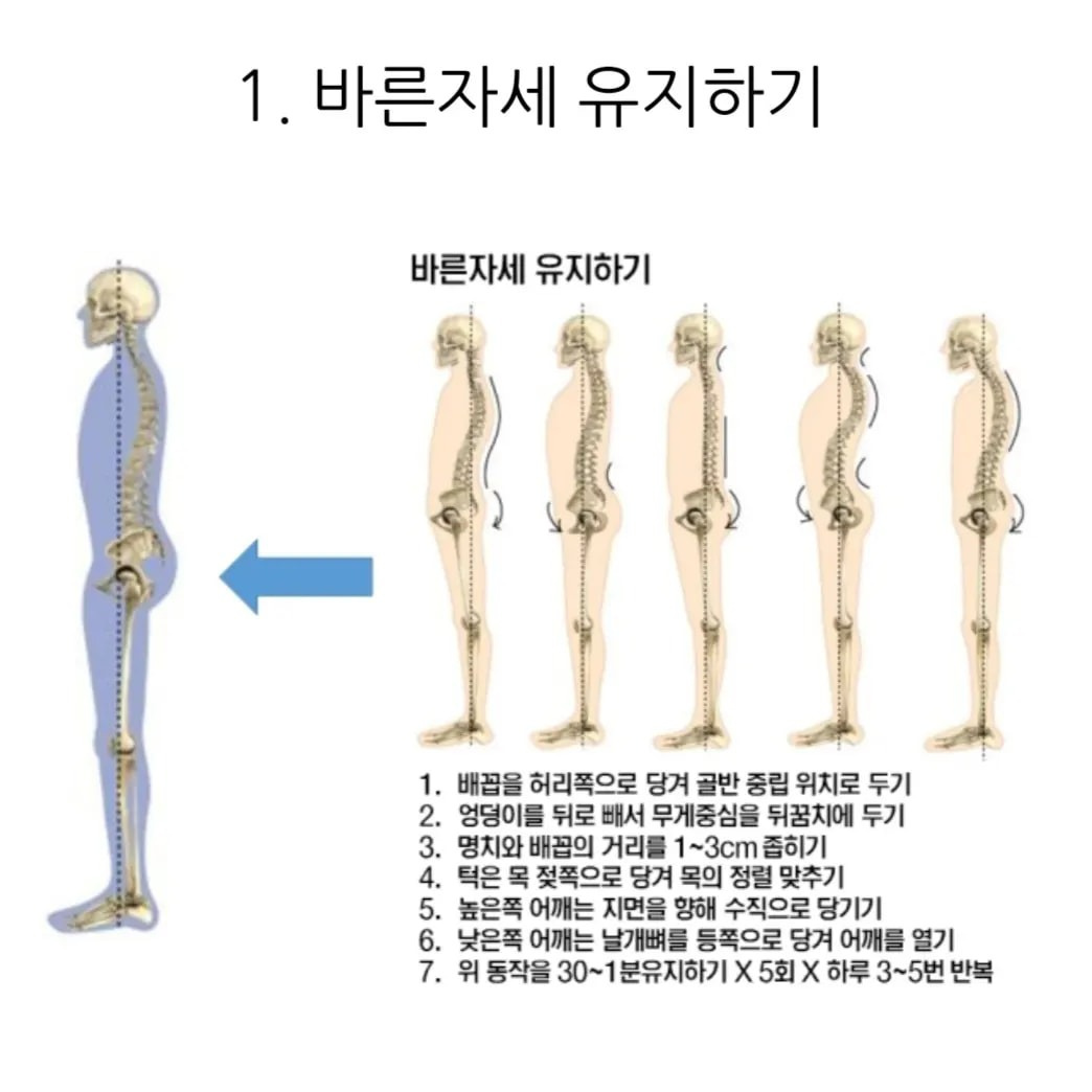 등통증 날개뼈통증의 원인부터 해결법 무료평가신청까지 충청남도 천안시 서북구 백석동 비즈프로필