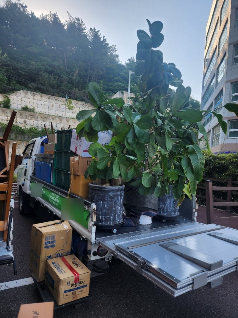 부산 리프트 용달 카페 고가 중고 물품 거래 용달로 안전하게 해결하세요 부산광역시 해운대구 우동 비즈프로필