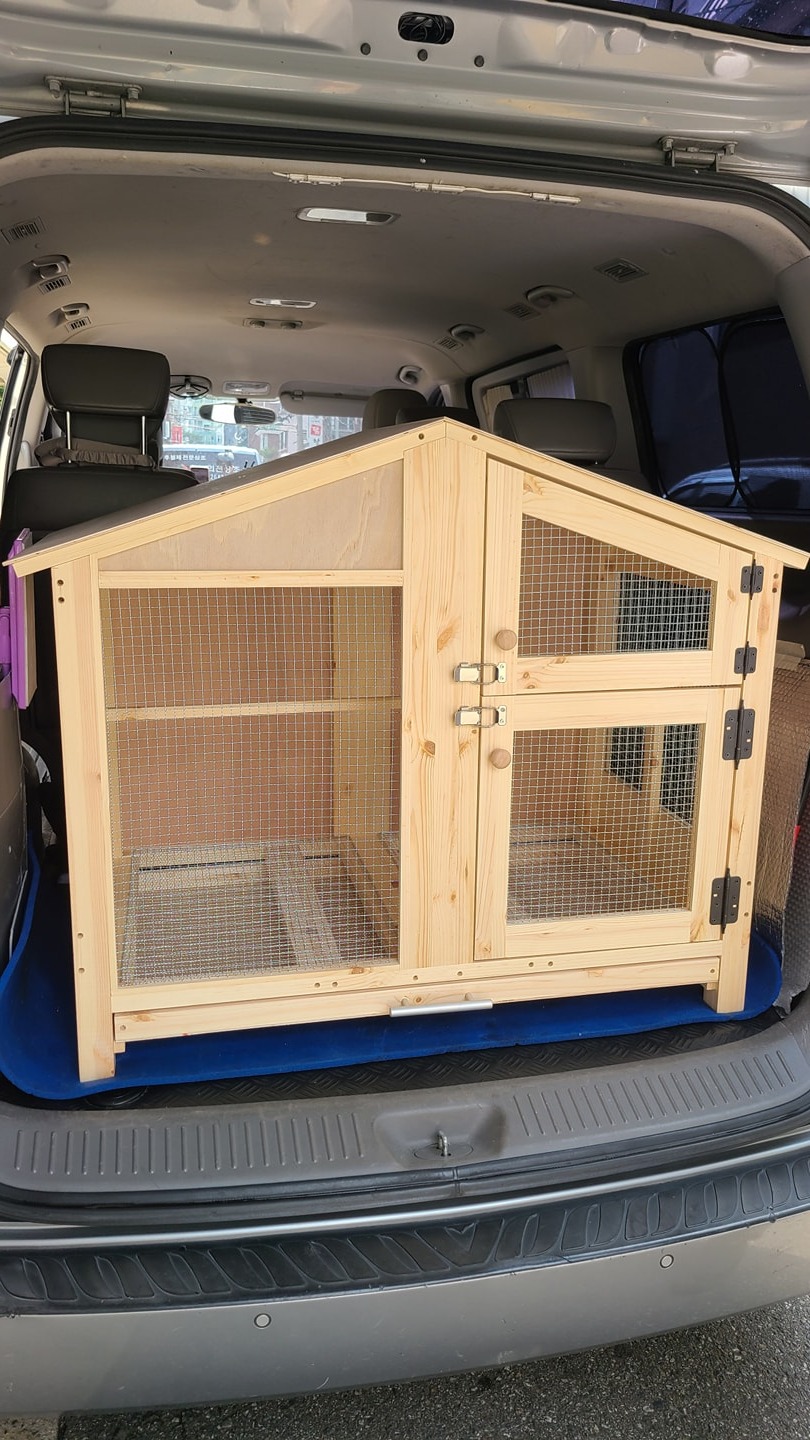 SBS 세상에 이런일이에 출연할 까마귀 집? - 서울특별시 양천구 신정동 | 비즈프로필