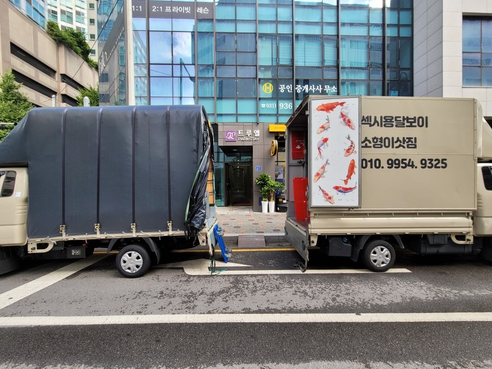 경기도 고양시 서울시 강서구 반포장이사 후기 소형 이삿짐 전문 이사맛집 서울특별시 광진구 화양동 비즈프로필