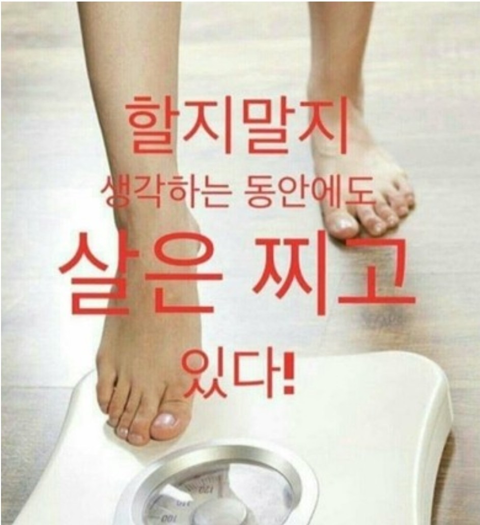 이제 지루한 운동은 가라~ 신나는 음악에 맞춰~재밌게 점핑하자~점핑체험 광운대1분거리 서울특별시 노원구 월계동 비즈프로필