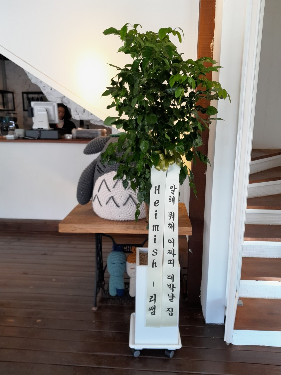 개업화분 인사이동 승진화분 공기정화식물 대구광역시 중구 북성로1가 비즈프로필