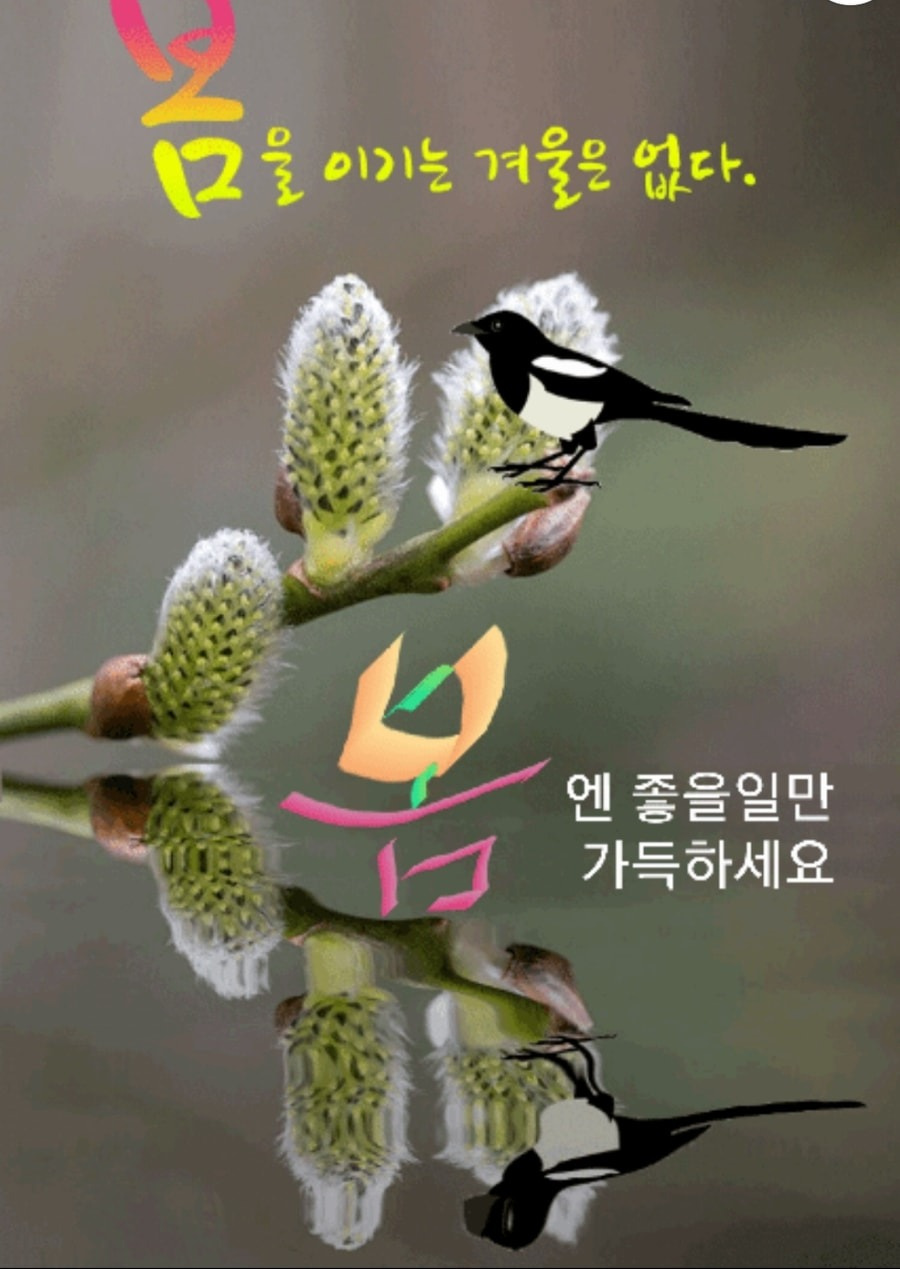 늘푸른창 커튼 블라인드 콤비롤 자바라 방범창 롤 방충망 현관 기린 방충문 전문 제작 시공 서울특별시 동대문구 청량리동