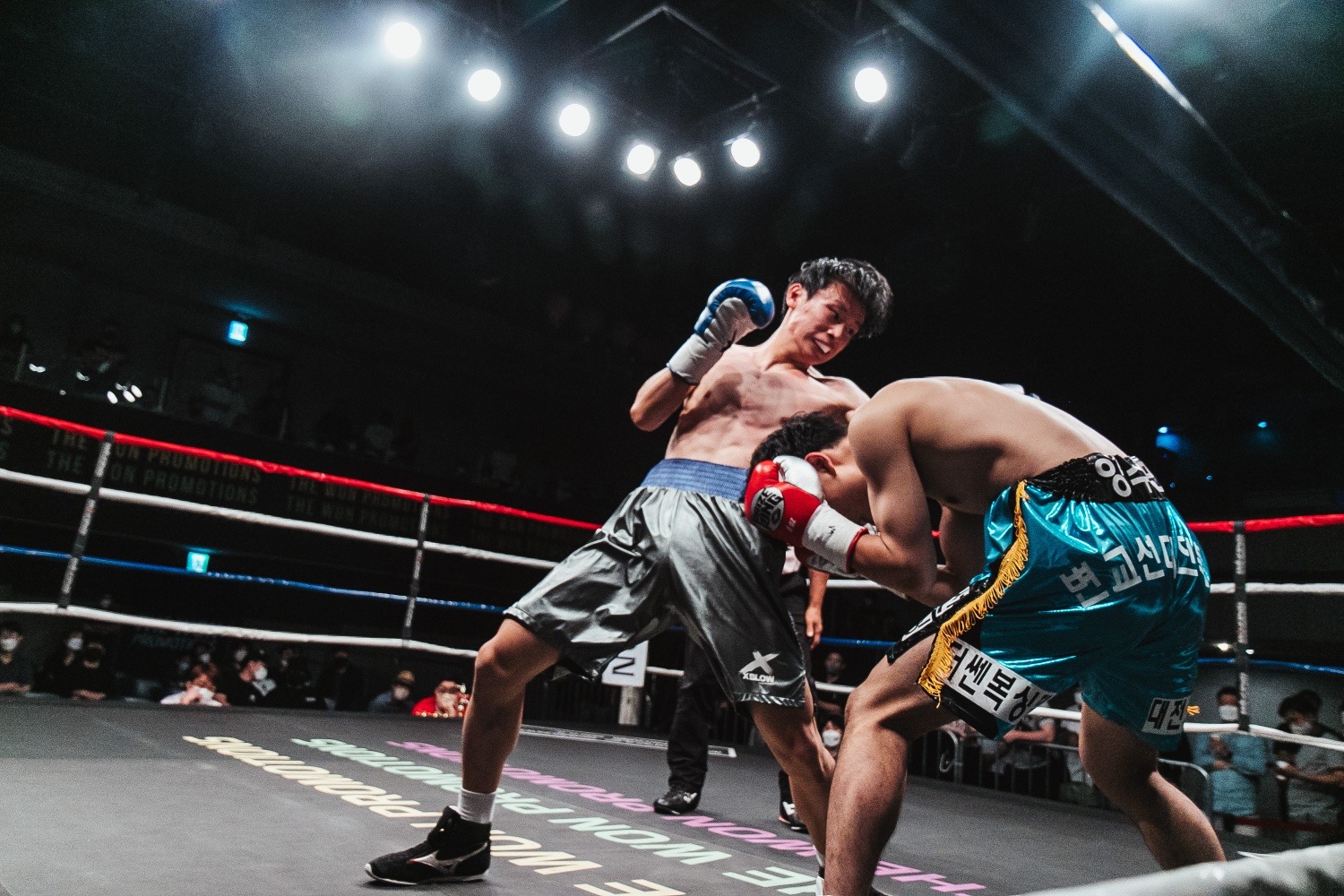 밤짐복싱 식사점 🥊 프로선수의 진짜 복싱트레이닝!! | 경기도 고양시 일산동구 식사동 | 복싱도장 | 당근 비즈 소식