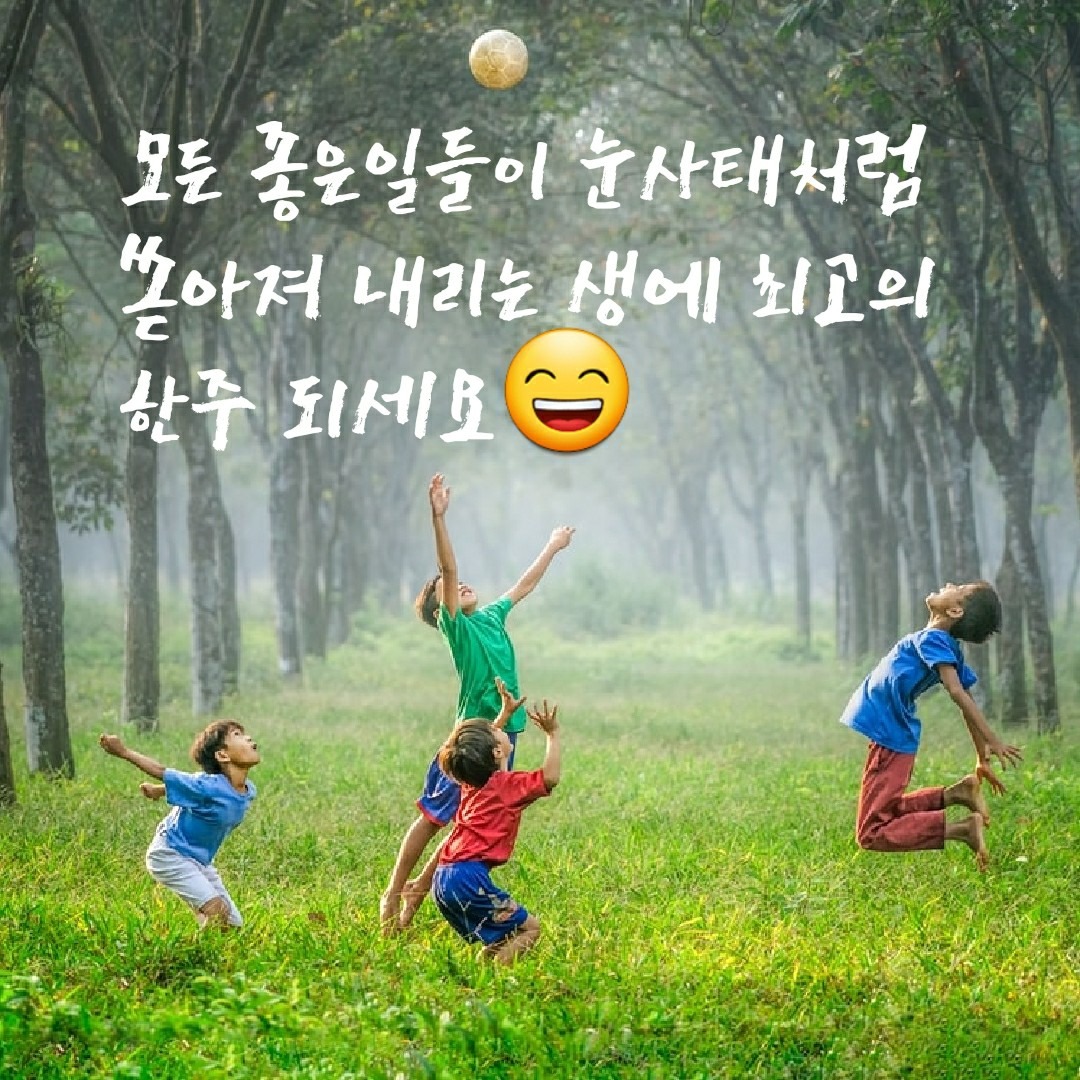 12월의 첫 월요일~다이어트하기 딱 좋은날 점핑무료체험 서울특별시 도봉구 방학동 비즈프로필
