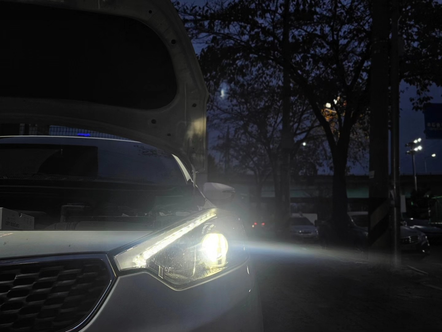 K3 합법인증led 이벤트제품 산타페dm 더프라임 D3s Led 경상북도 포항시 남구 효자동 비즈프로필