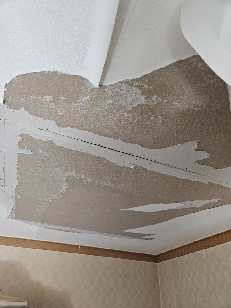석고공사후 누수도배 용두동 미르마을 작은방누수 보험도배 입니다 견적서 ~ 대전부부도배 ~ 대전광역시 중구 산성동 비즈프로필