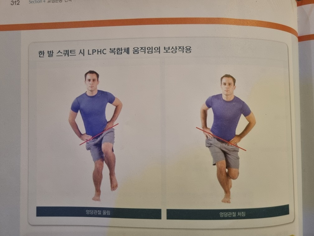 오버헤드 스쾃 동작시 허리 엉덩이 골반 복합체에서의 보상작용 서울특별시 강남구 청담동 비즈프로필