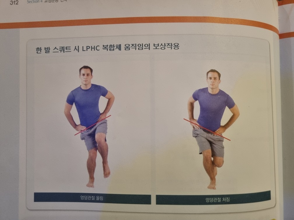 오버헤드 스쾃 동작시 허리 엉덩이 골반 복합체에서의 보상작용 서울특별시 강남구 청담동 비즈프로필
