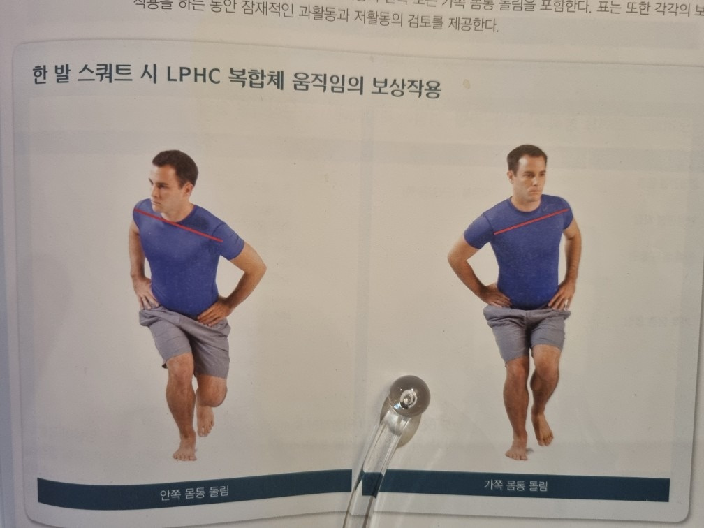 오버헤드 스쾃 동작시 허리 엉덩이 골반 복합체에서의 보상작용 서울특별시 강남구 청담동 비즈프로필