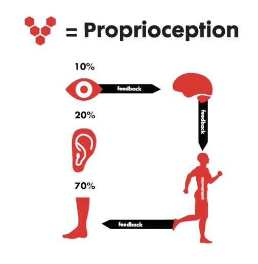 고유수용성감각(proprioception) - 서울특별시 강남구 청담동 | 비즈프로필