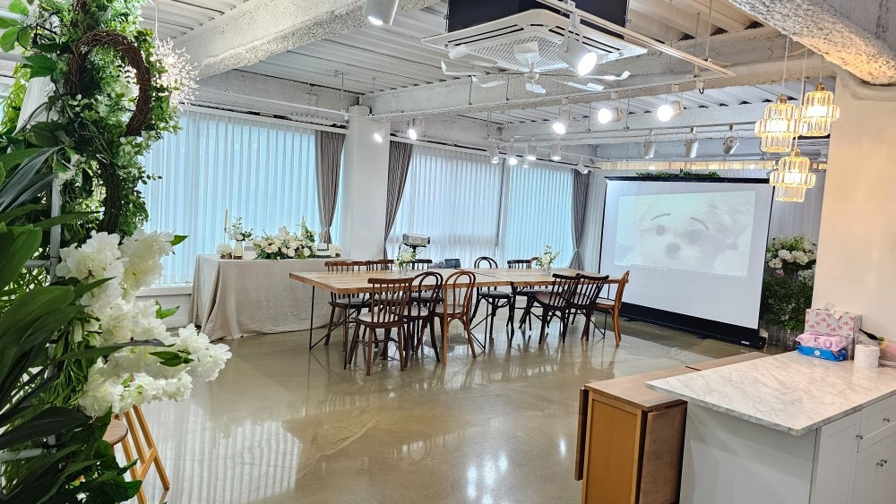 연말모임 송년회장소 모이재파티룸마곡점 올나잇가능 발산역3분 서울특별시 강서구 등촌동 비즈프로필
