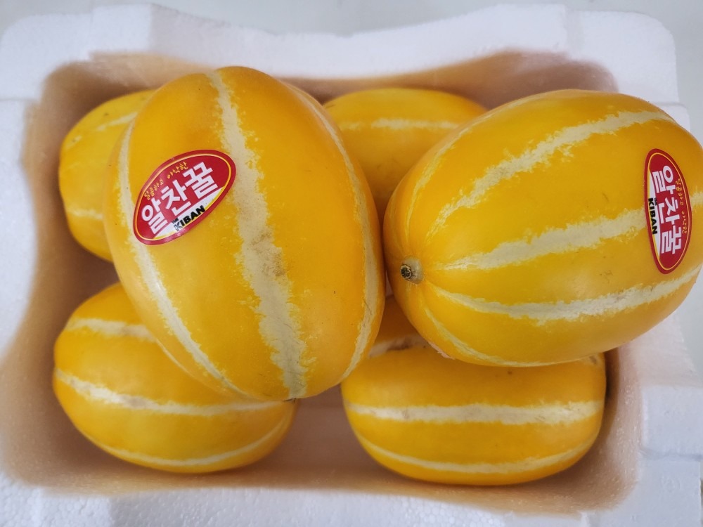 완료♡창원대산수박~♡데라웨어포도무지개망고찰토마토 등 충청북도 청주시 흥덕구 오송읍 비즈프로필
