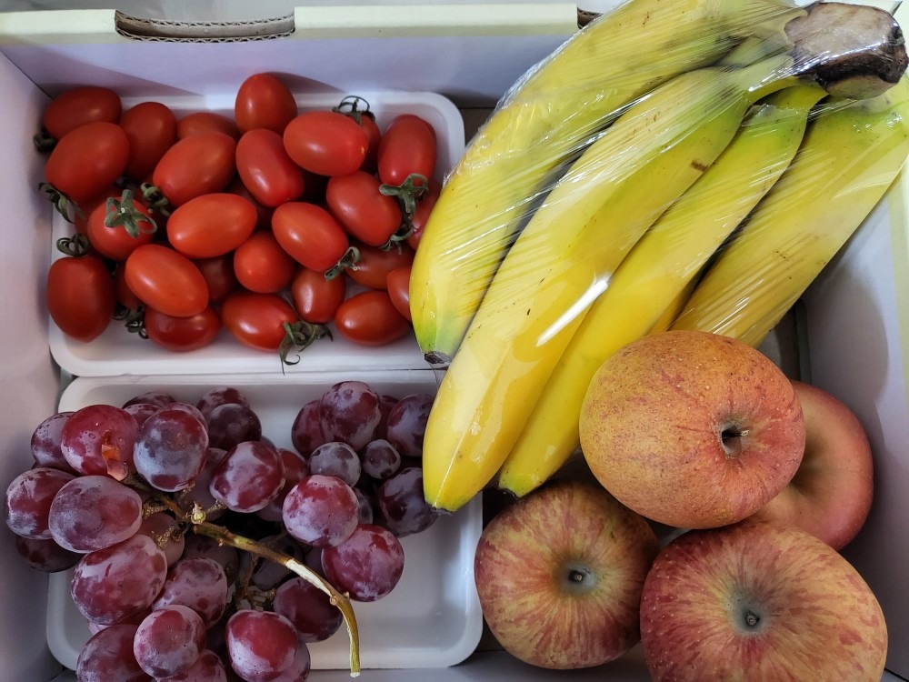 완료♡창원대산수박~♡데라웨어포도무지개망고찰토마토 등 충청북도 청주시 흥덕구 오송읍 비즈프로필