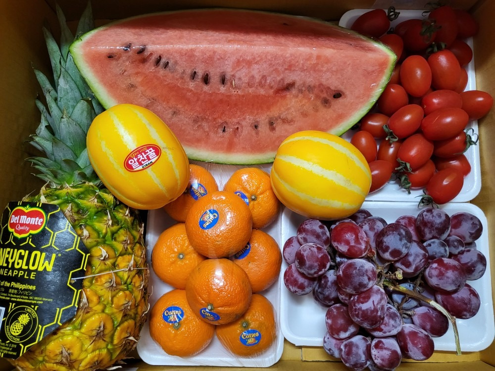 완료♡창원대산수박~♡데라웨어포도무지개망고찰토마토 등 충청북도 청주시 흥덕구 오송읍 비즈프로필