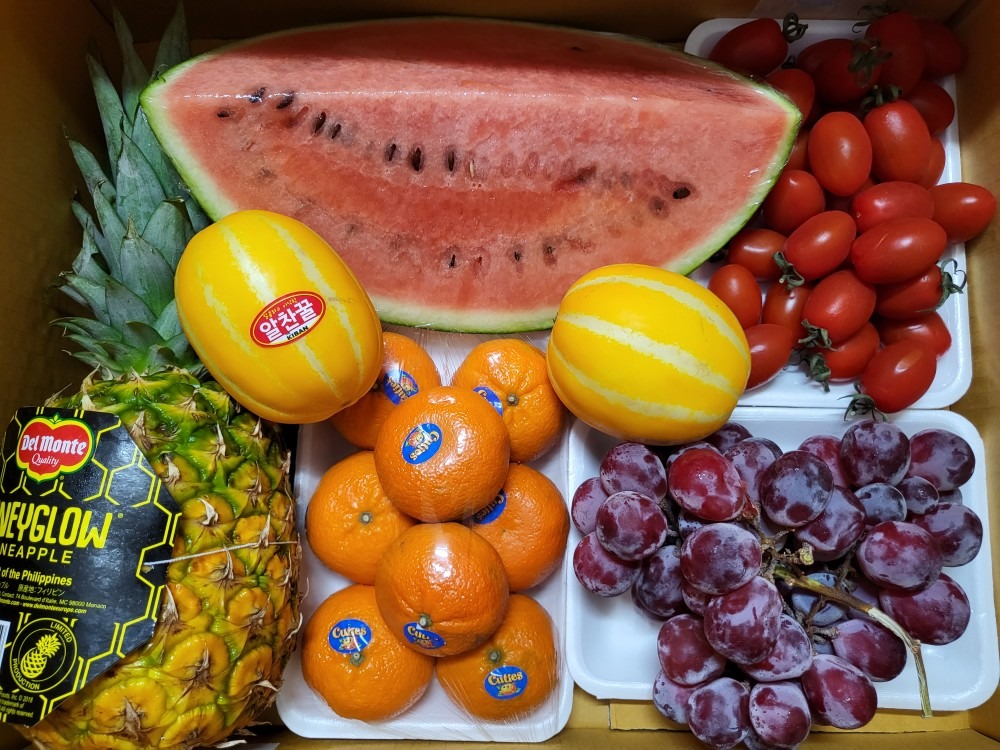 완료♡창원대산수박~♡데라웨어포도무지개망고찰토마토 등 충청북도 청주시 흥덕구 오송읍 비즈프로필
