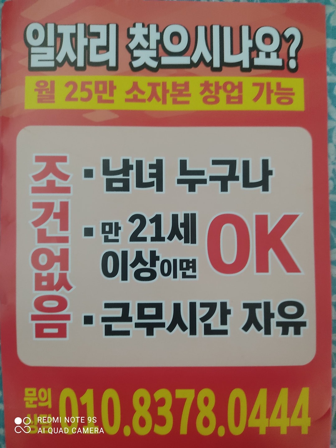 월 25만원으로 창업하세요 - 대전광역시 서구 용문동 | 비즈프로필