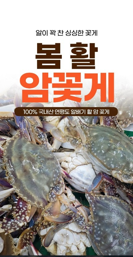 봄 암꽃게 1kg 알베기 알가득 꽃게 서해안 게 제철 활 싱싱 연평도 경기도 부천시 심곡동 비즈프로필