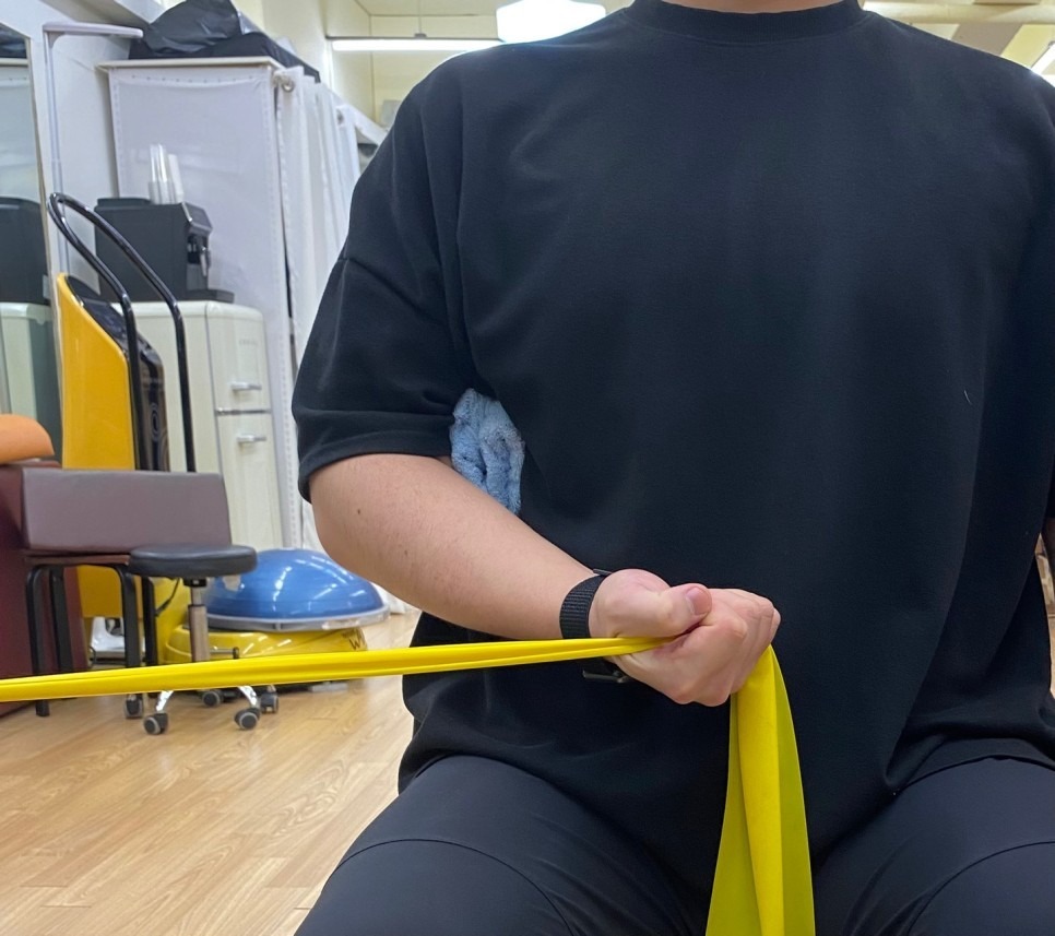 운동무료나눔 어깨재활에 필요한 근육인 견갑하근 운동 동작들 서울특별시 노원구 상계동 비즈프로필