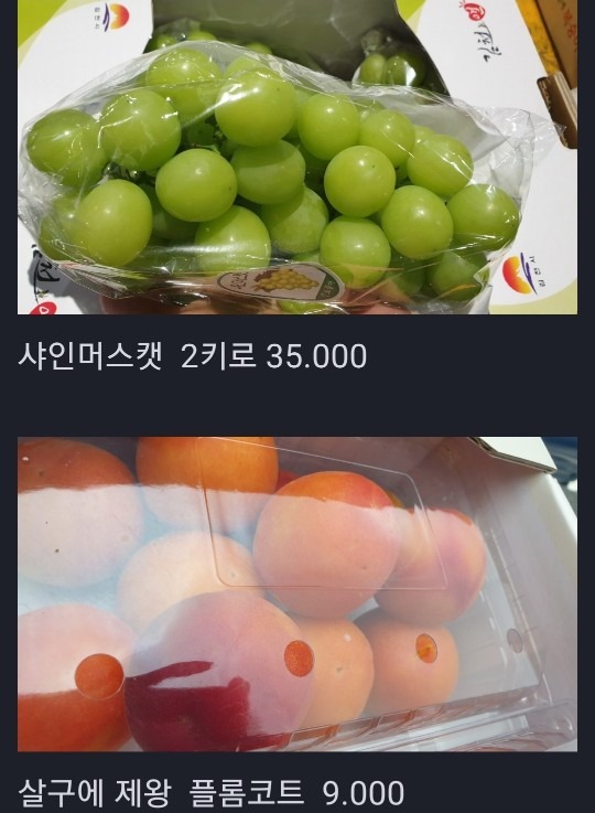 🥕전주로컬 🥕 샤인머스켓 딱볶이 대극천 플롬코드 망고수박등 입고 전라북도 전주시 덕진구 인후동1가 비즈프로필