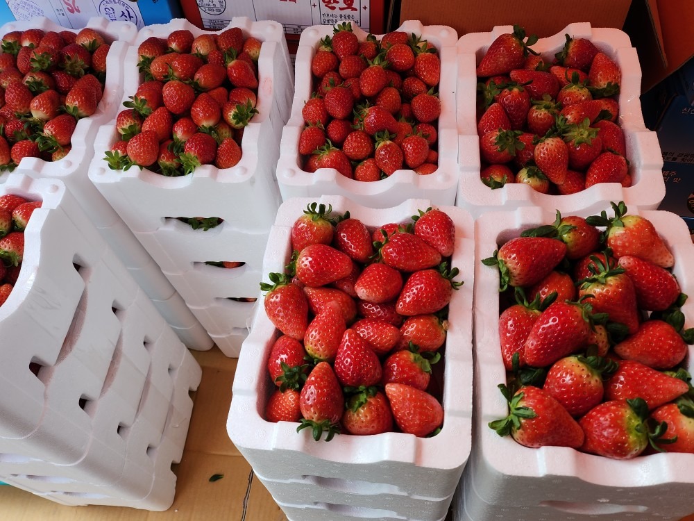 🥕 전주로컬 🥕 성동교회옆 전주로컬푸드에서 야채과일 장만하세요~🍎🍓🍍🌶🫑🥒🧅 전라북도 전주시 덕진구 인후동1가 비즈프로필