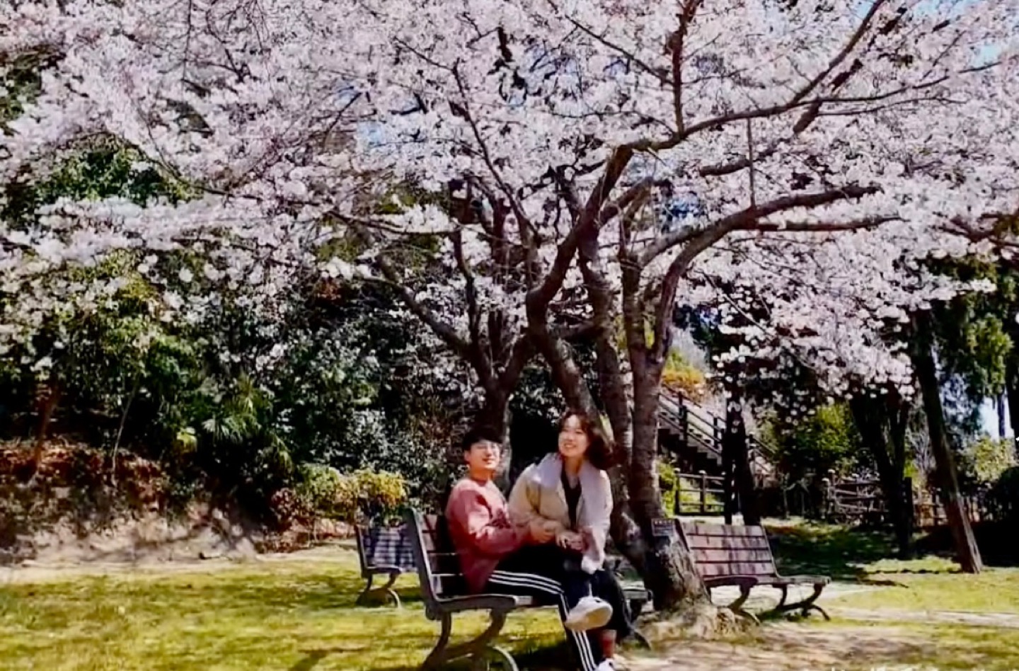 🌼봄 여행 신안목포 1박2일 🌼 갈곳 다가고 먹을것 다먹는~안가면 후회함 원주이야기 강원특별자치도 원주시 단구동