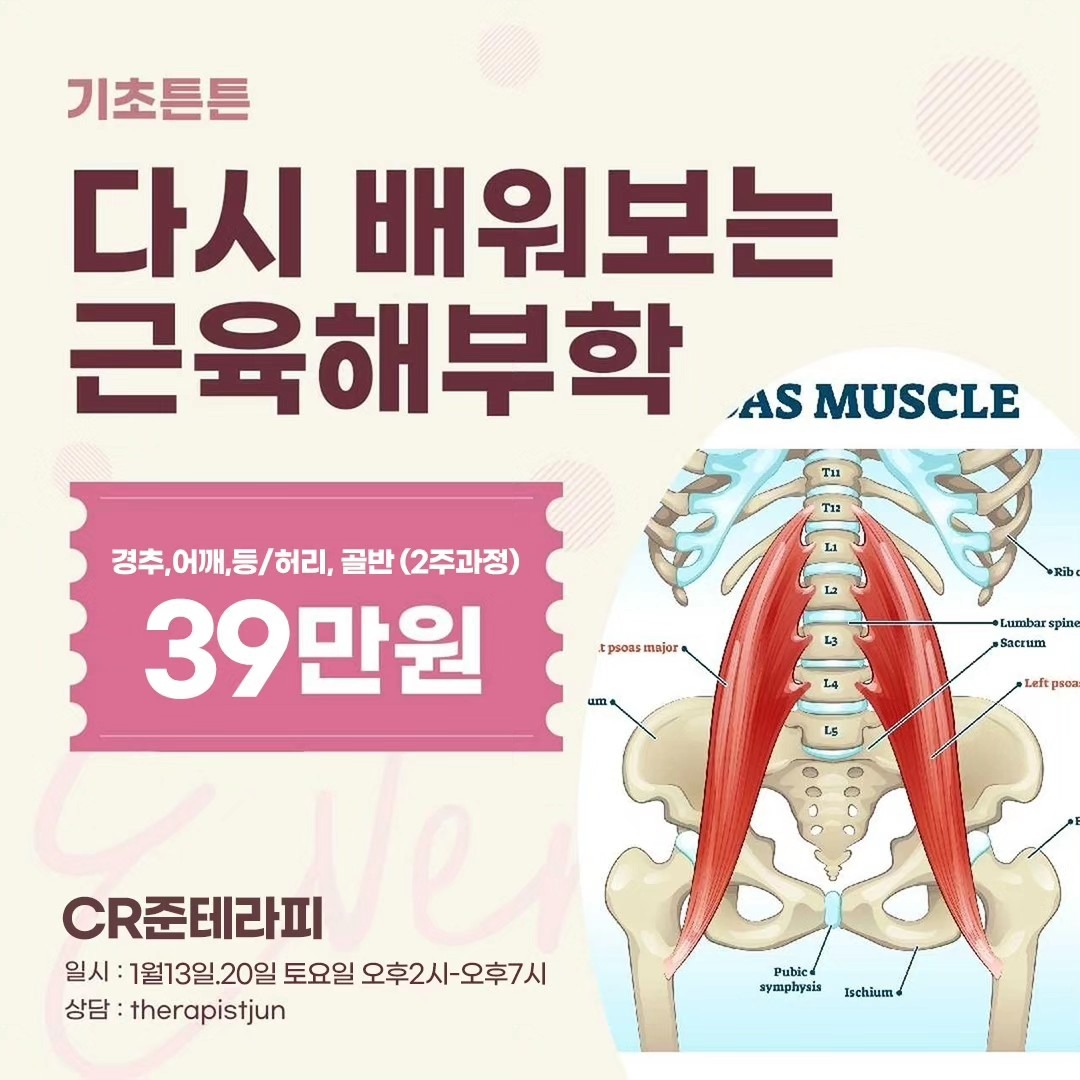 Cr 기초튼튼 다시 배워보는 근육해부학 근육별 통증관리 요가필라테스 서울특별시 강남구 역삼동 비즈프로필