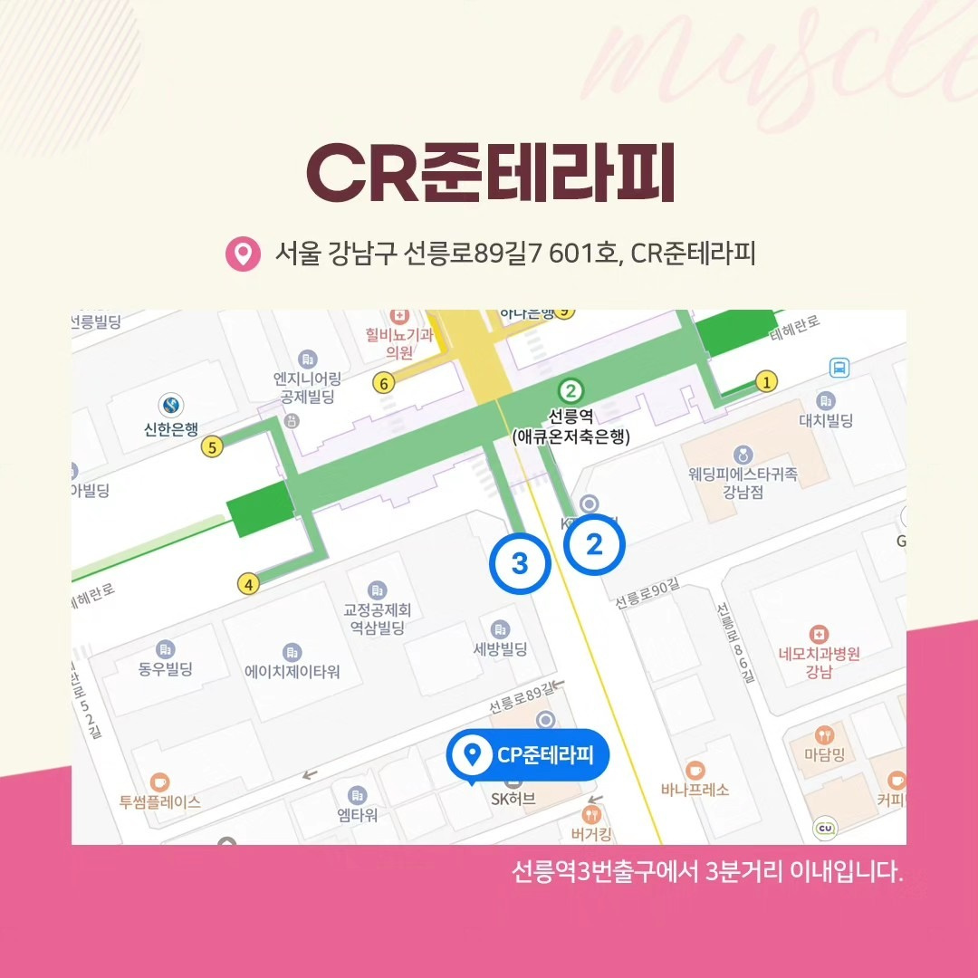 Cr 기초튼튼 다시 배워보는 근육해부학 근육별 통증관리 요가필라테스 서울특별시 강남구 역삼동 비즈프로필