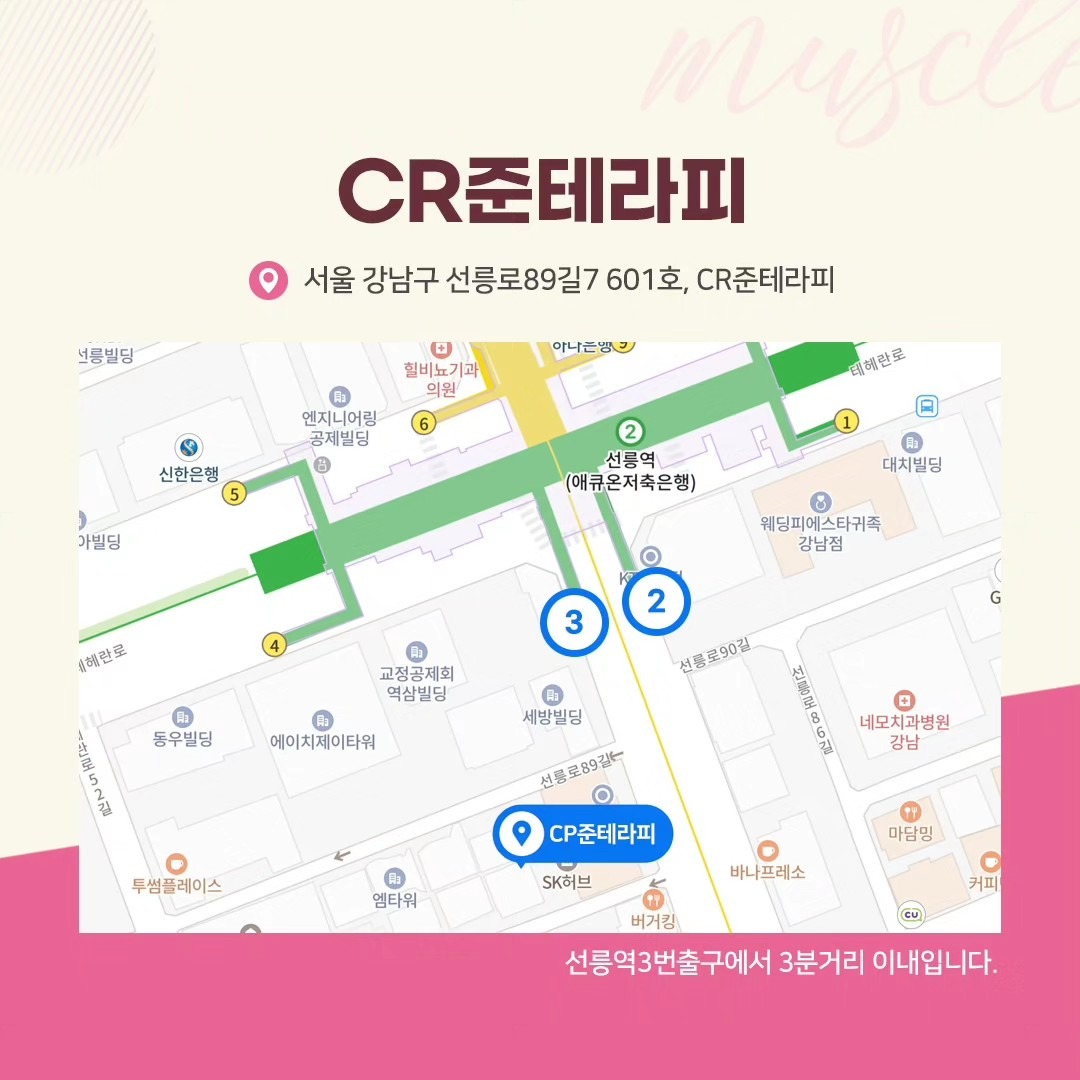 Cr 기초튼튼 다시 배워보는 근육해부학 근육별 통증관리 요가필라테스 서울특별시 강남구 역삼동 비즈프로필