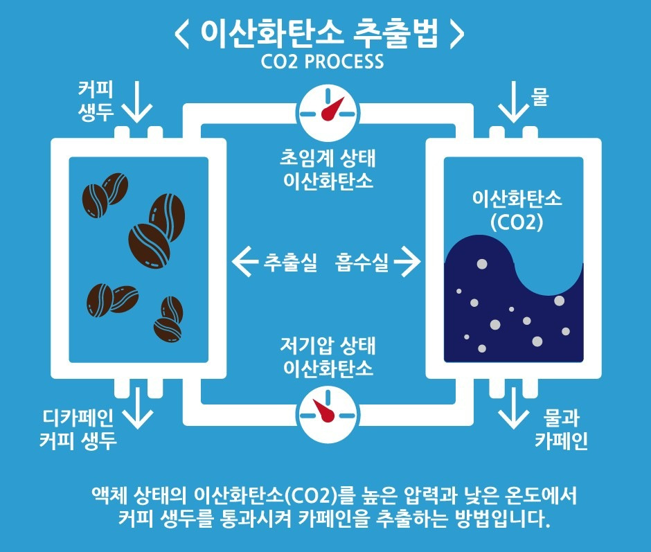 디카페인 커피 카페인 함량과 효능에 대해 알아보자원리제조방법뜻잠임산부원두 강원특별자치도 강릉시 회산동 비즈프로필