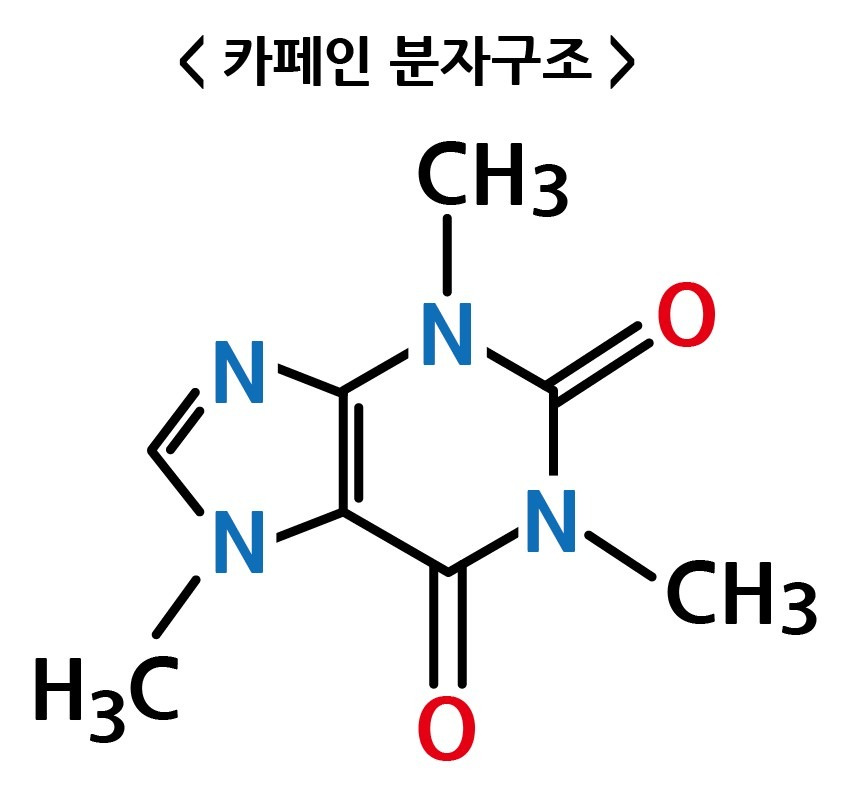 디카페인 커피 카페인 함량과 효능에 대해 알아보자원리제조방법뜻잠임산부원두 강원특별자치도 강릉시 회산동 비즈프로필