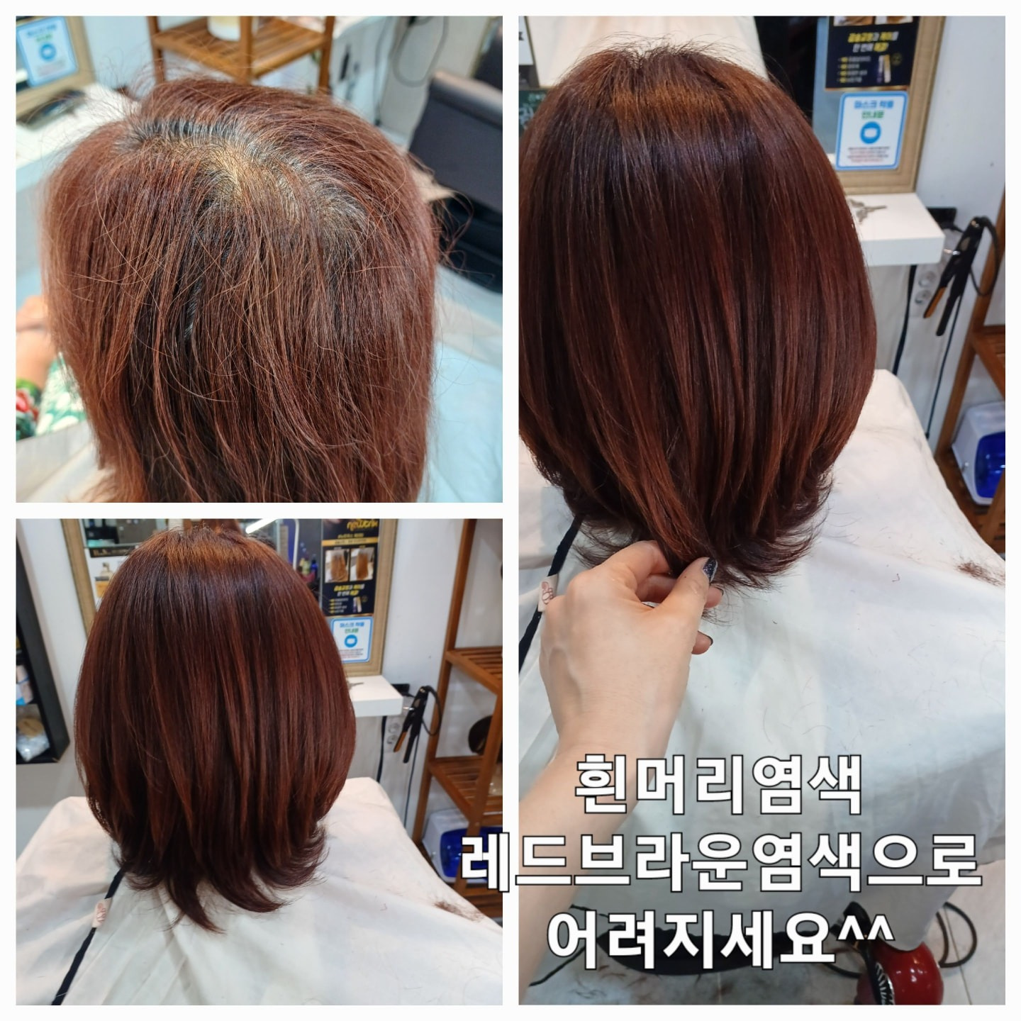 연산동미용실 강민정헤어에서 흰머리 레드브라운염색하고 어려지고 예뻐지자 부산광역시 연제구 연산동 비즈프로필