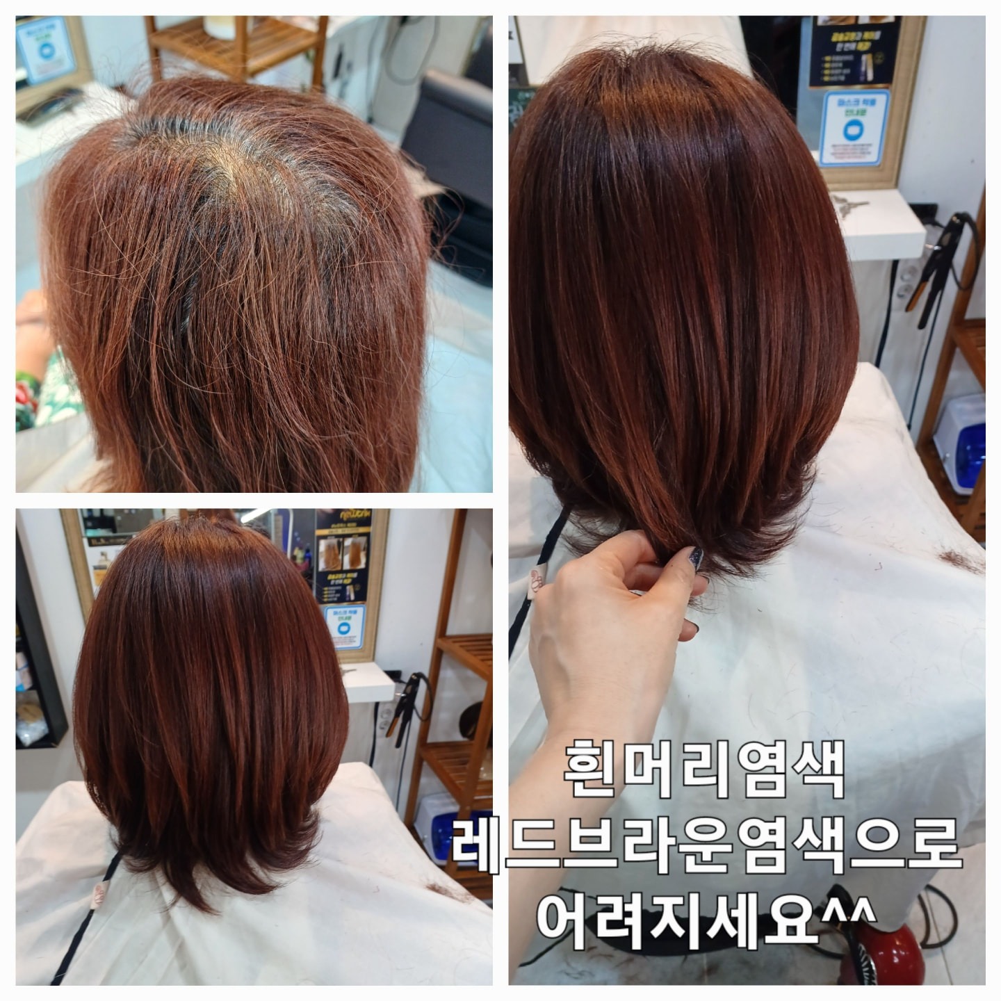 연산동미용실 강민정헤어에서 흰머리 레드브라운염색하고 어려지고 예뻐지자 부산광역시 연제구 연산동 비즈프로필