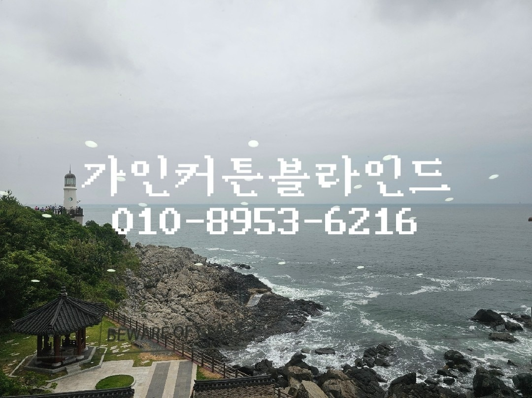 커튼 블라인드 이중커튼 우드블라인드 캐노피 롤스크린 병원레일 R레일 시공 설치 서울특별시 양천구 신정동 비즈프로필