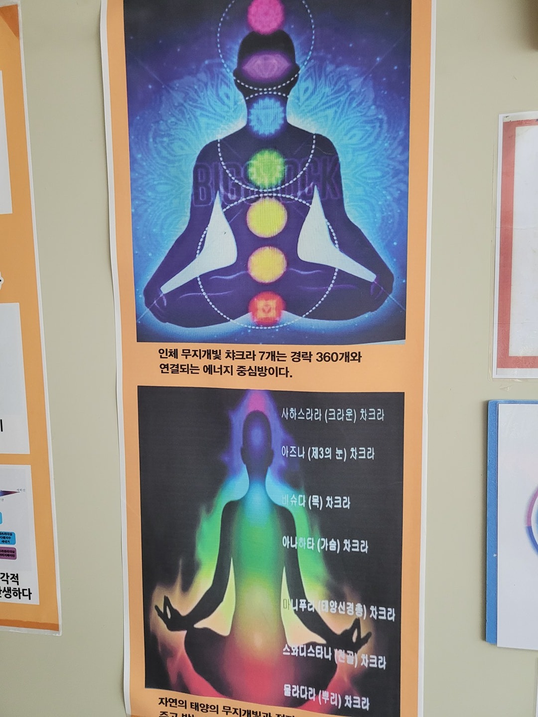 타로는 색채심리로 스스로 무의식을 찾아가는 그림과상징적 의미 심리학자 화가작품 경상남도 창원시 의창구 소계동 비즈프로필