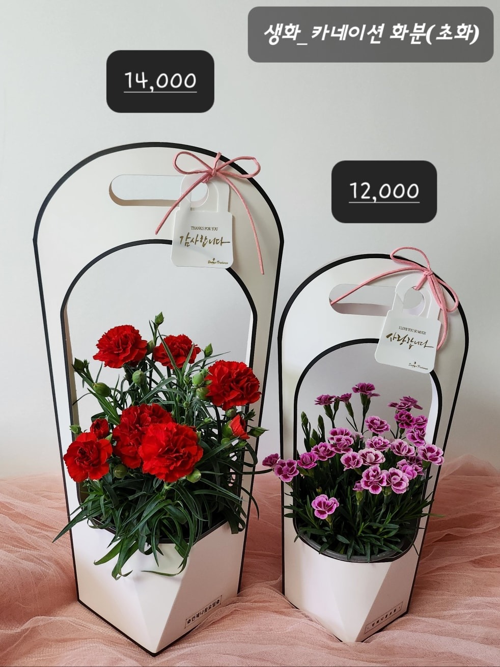 어버이날 스승의날 카네이션 생화 화분초화 캐리어 바구니 당일 구매 가능 경상남도 양산시 물금읍 꽃집꽃배달