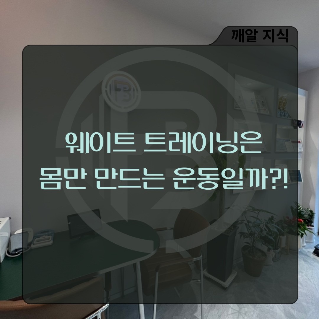 웨이트트레이닝에 대한 편견 - 울산광역시 남구 신정동 | 비즈프로필